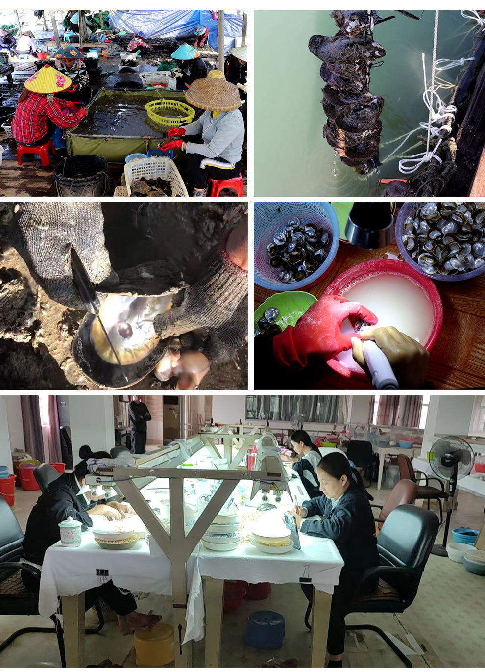 2026 livestream room half round shaped white mabe and akoya loose seaw ...